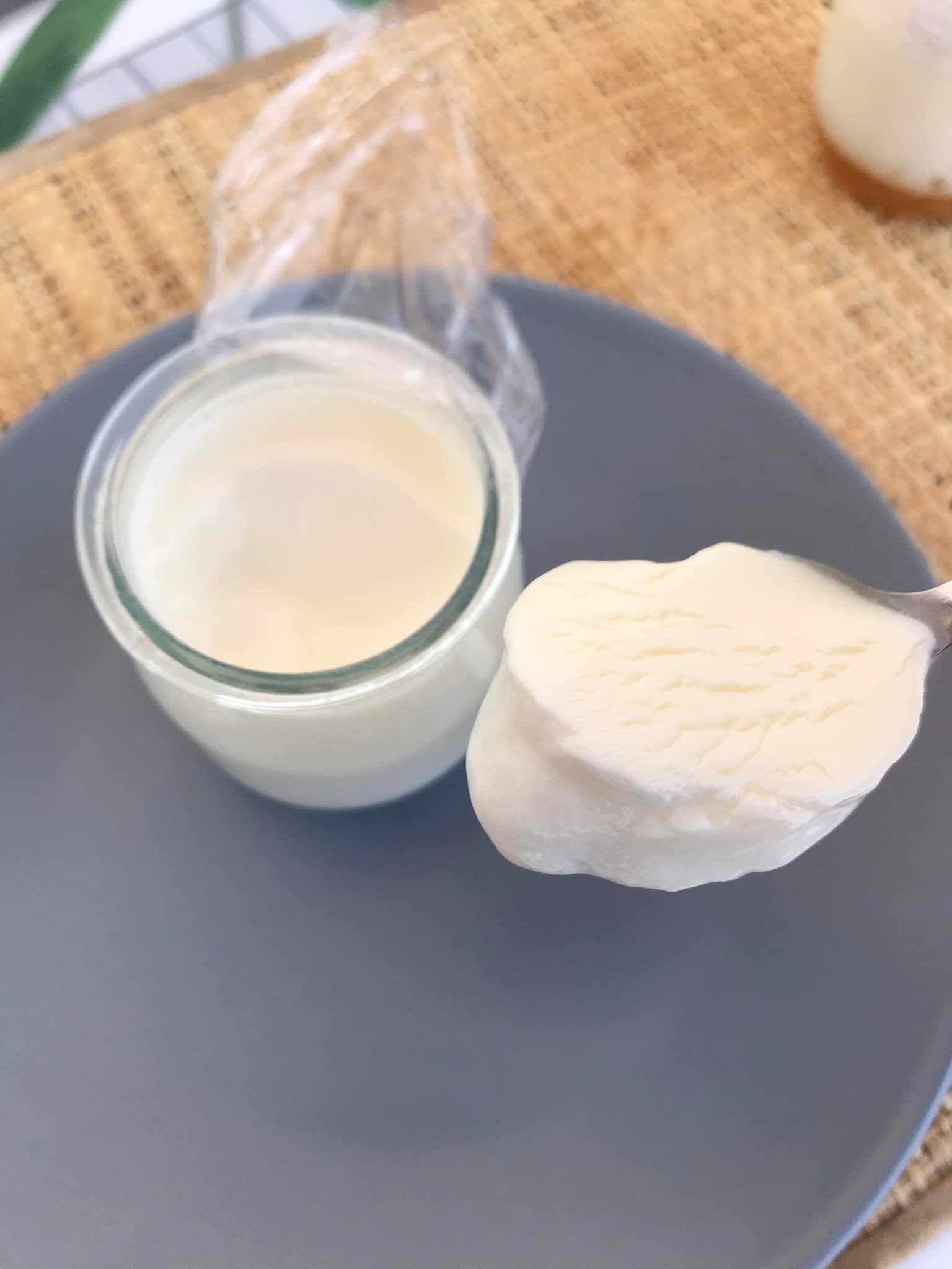 Backslopping, méthode de repiquage ! – Kefir Kombucha Jun