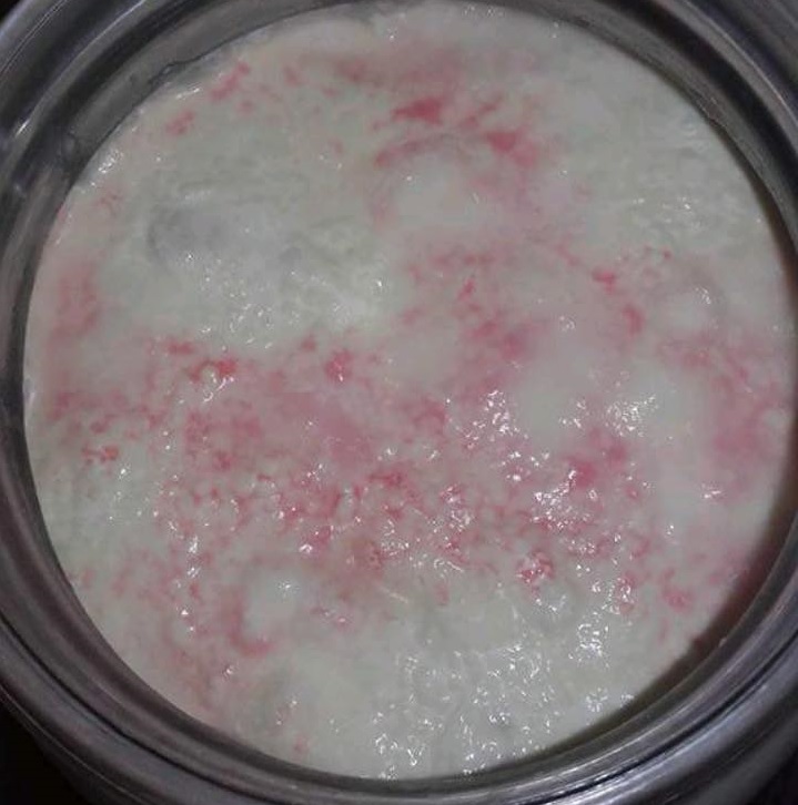 Les CONTAMINATIONS du Kefir de Lait – Kefir Kombucha Jun